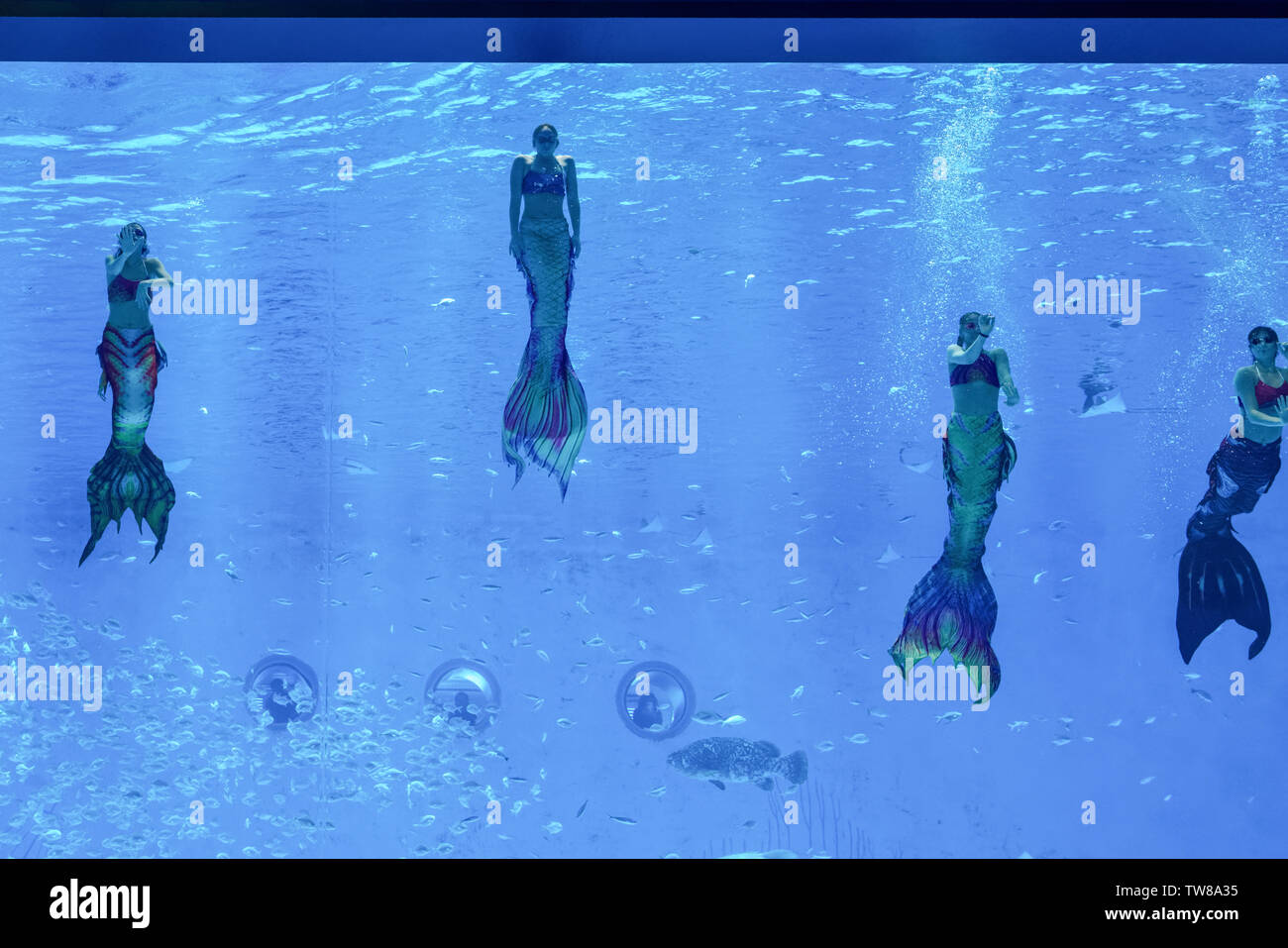 Mermaid performance at Haichang Ocean Park, Shanghai Stock Photo - Alamy