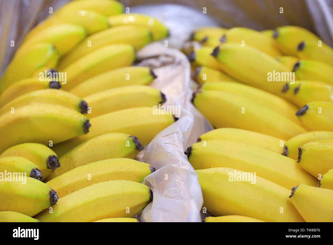Bananas in box hi-res stock photography and images - Alamy