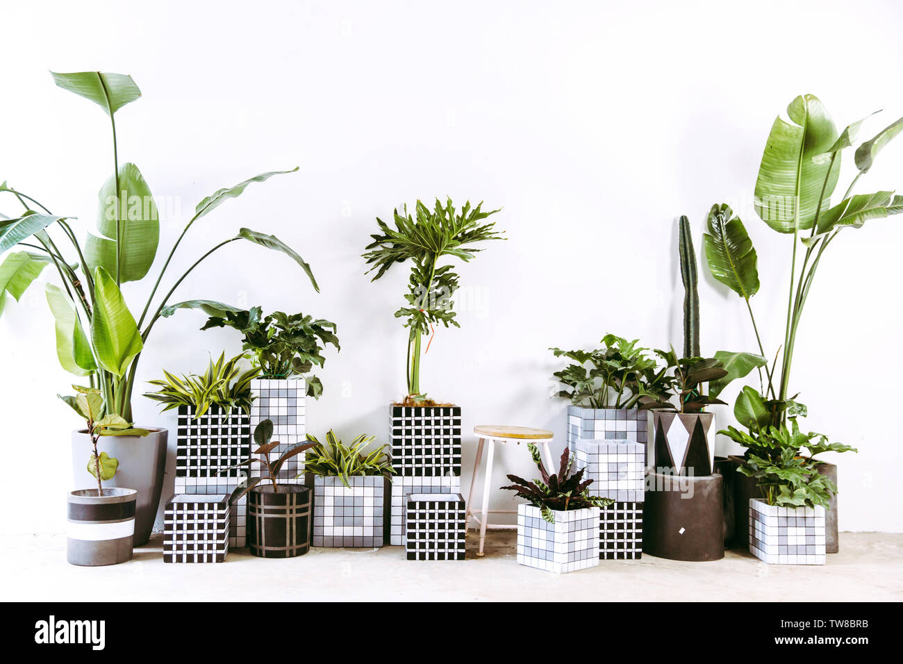 Creative flower pots and greenery Stock Photo - Alamy