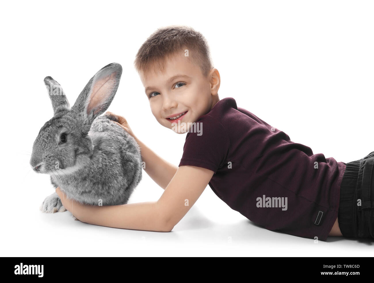 Little boy with adorable rabbit on white background Stock Photo - Alamy