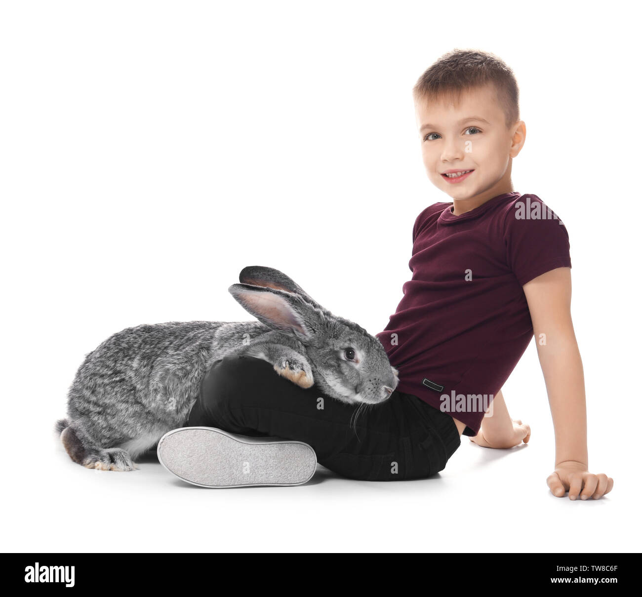 Little boy with adorable rabbit on white background Stock Photo - Alamy