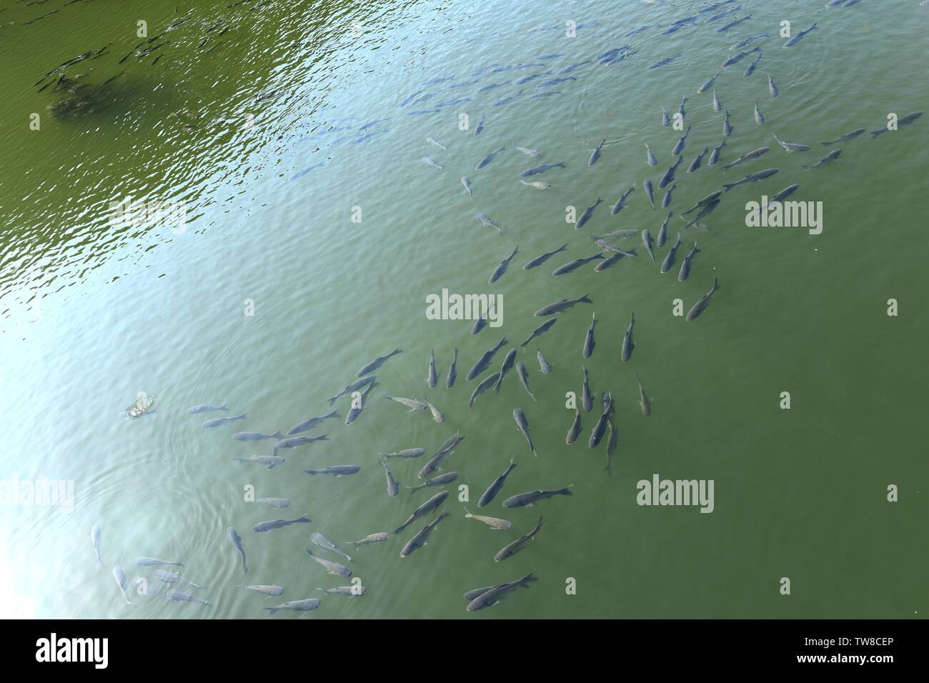 Dam mural painting hi-res stock photography and images - Alamy