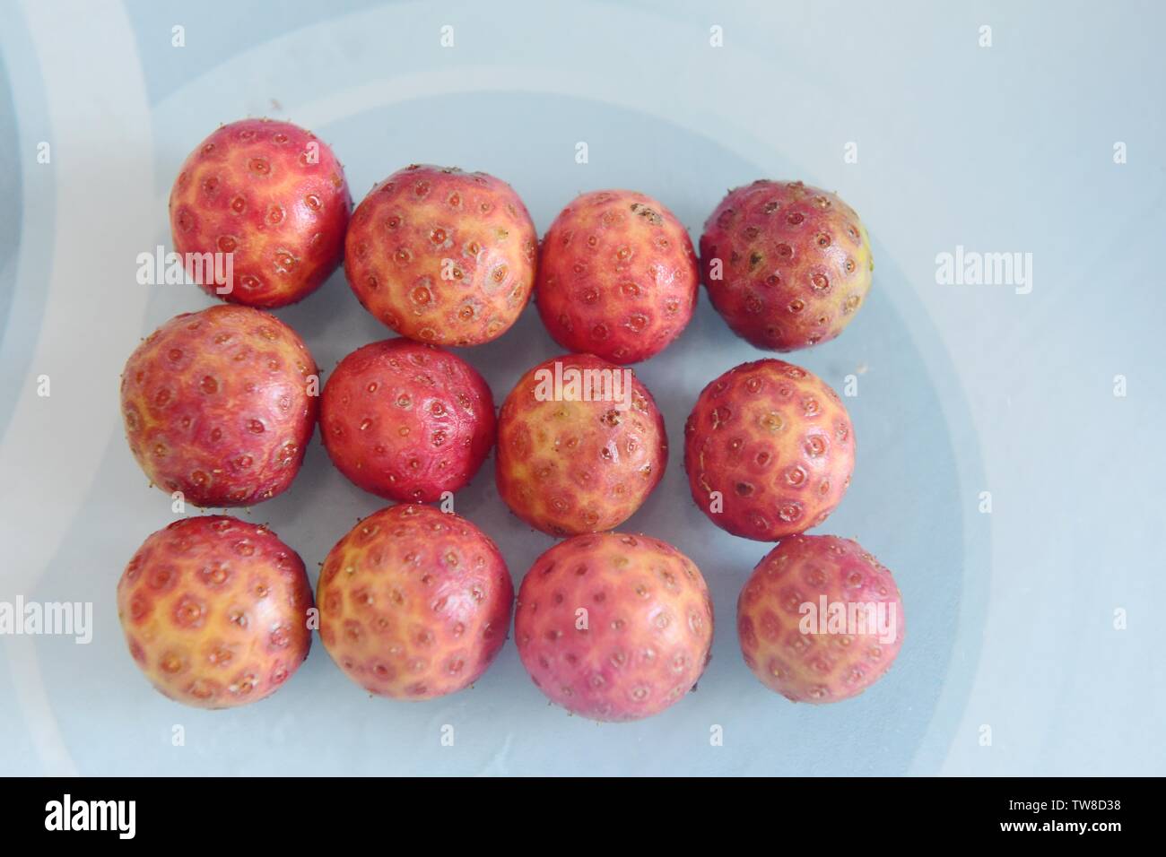 Rural wild lychee nutrition health ecological mountain goods Stock ...