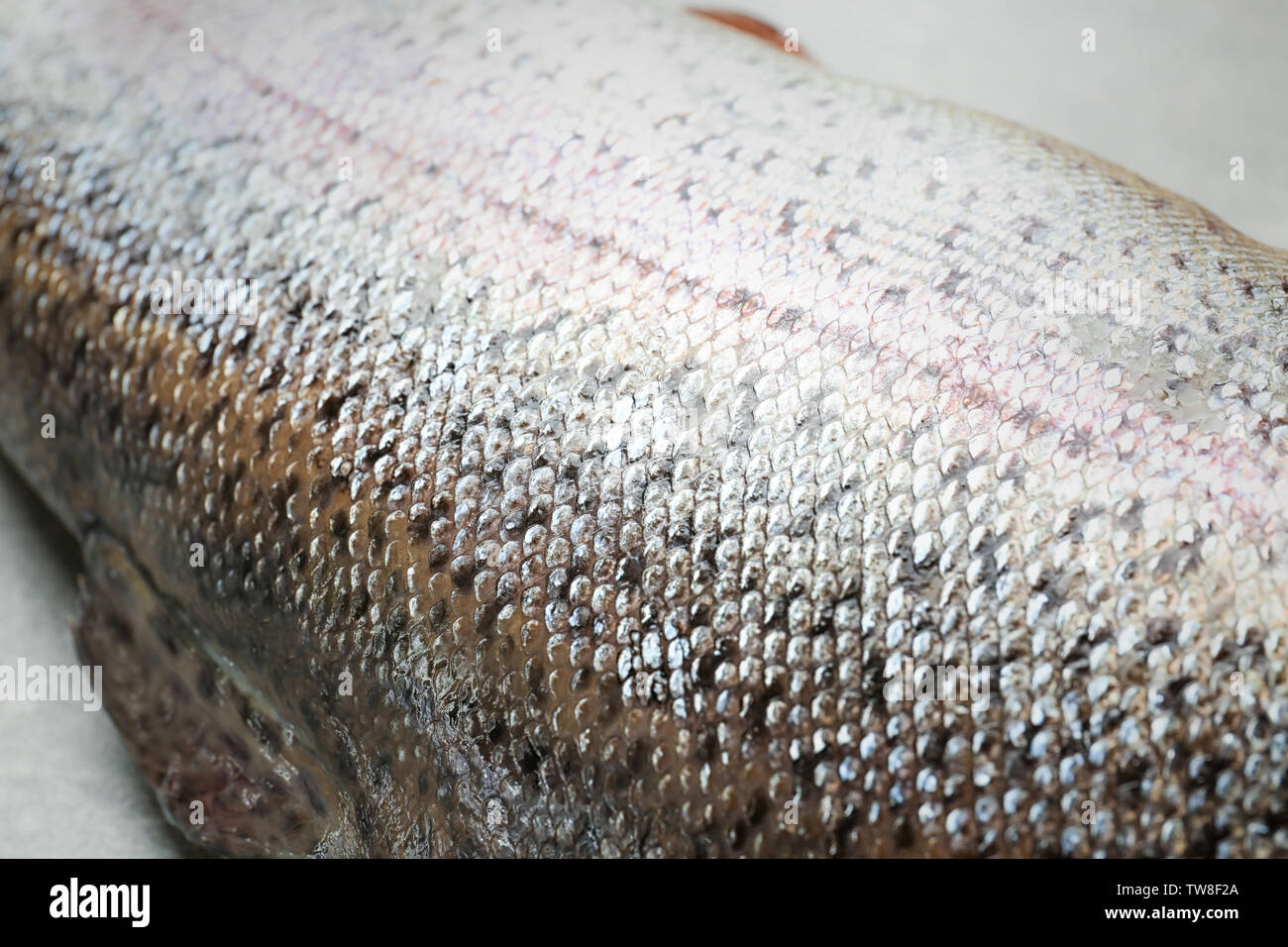 Raw rainbow trout, closeup Stock Photo - Alamy