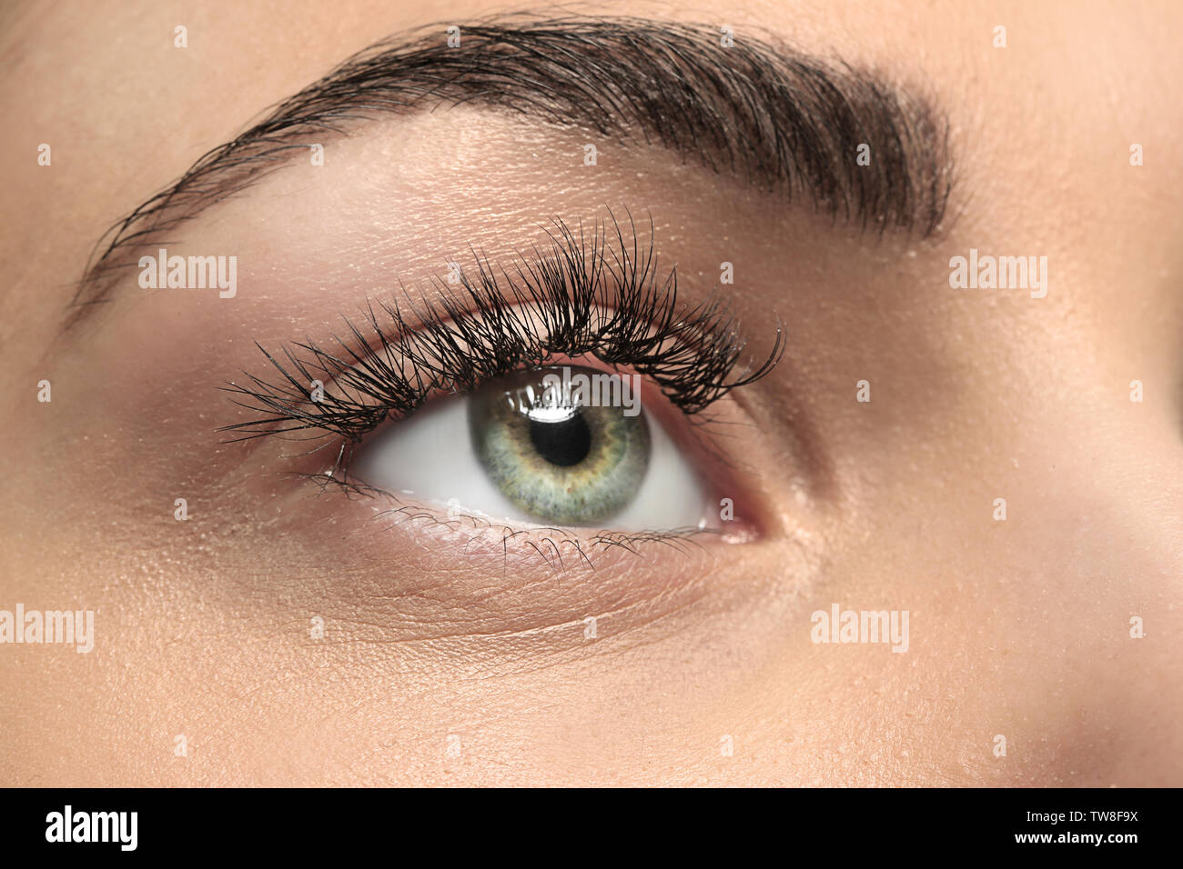 Young woman with beautiful eyebrows, closeup Stock Photo - Alamy