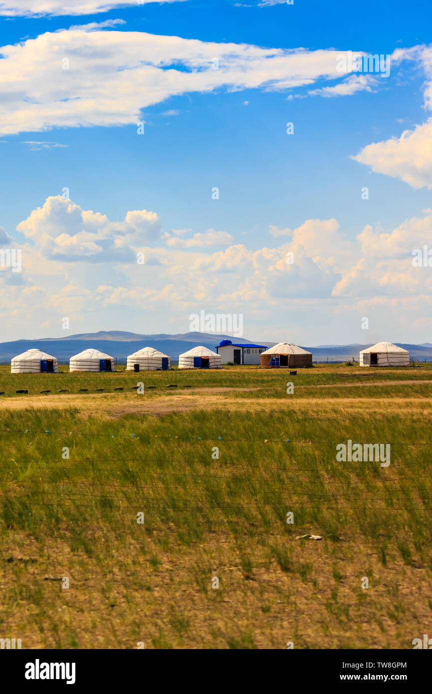 Summer in Hulunbuir Prairie, Inner Mongolia Stock Photo - Alamy