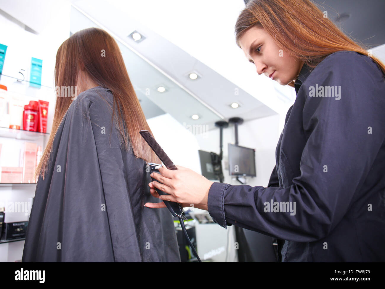 Professional stylist cutting woman's hair in salon Stock Photo - Alamy