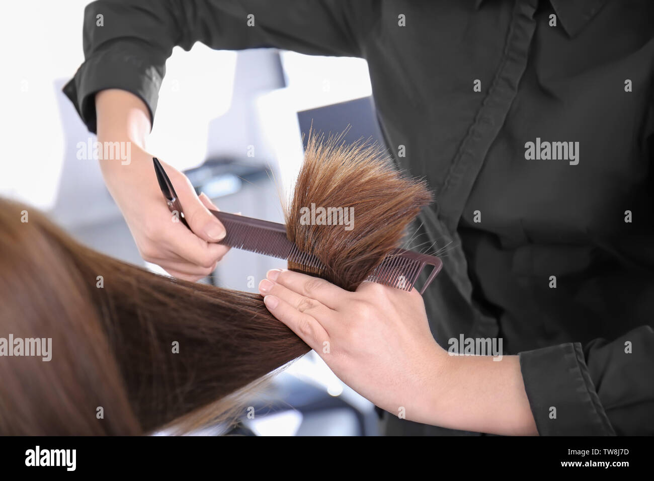 Professional stylist cutting woman's hair in salon, closeup Stock Photo ...