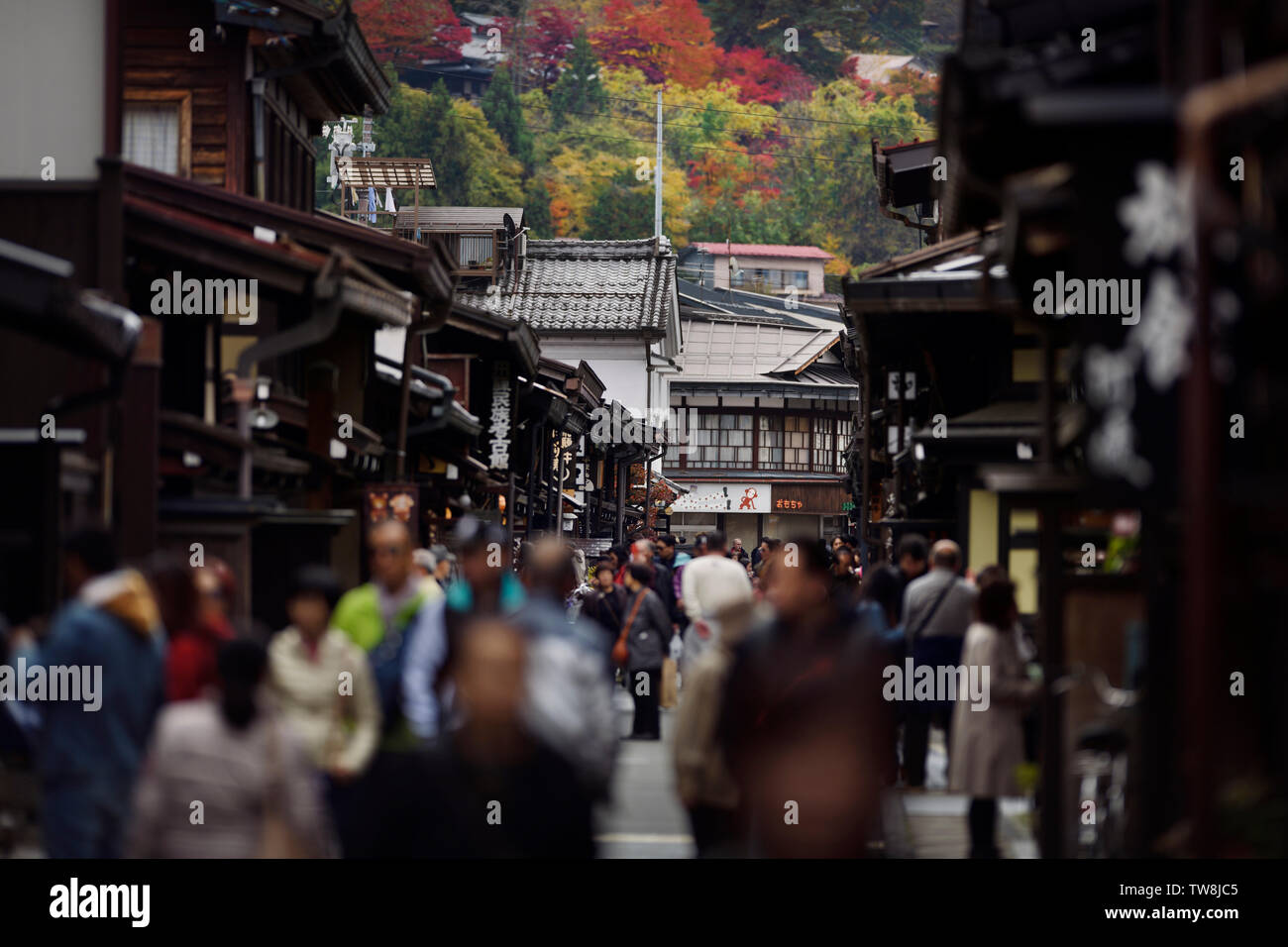 Maximimages hi-res stock photography and images - Alamy