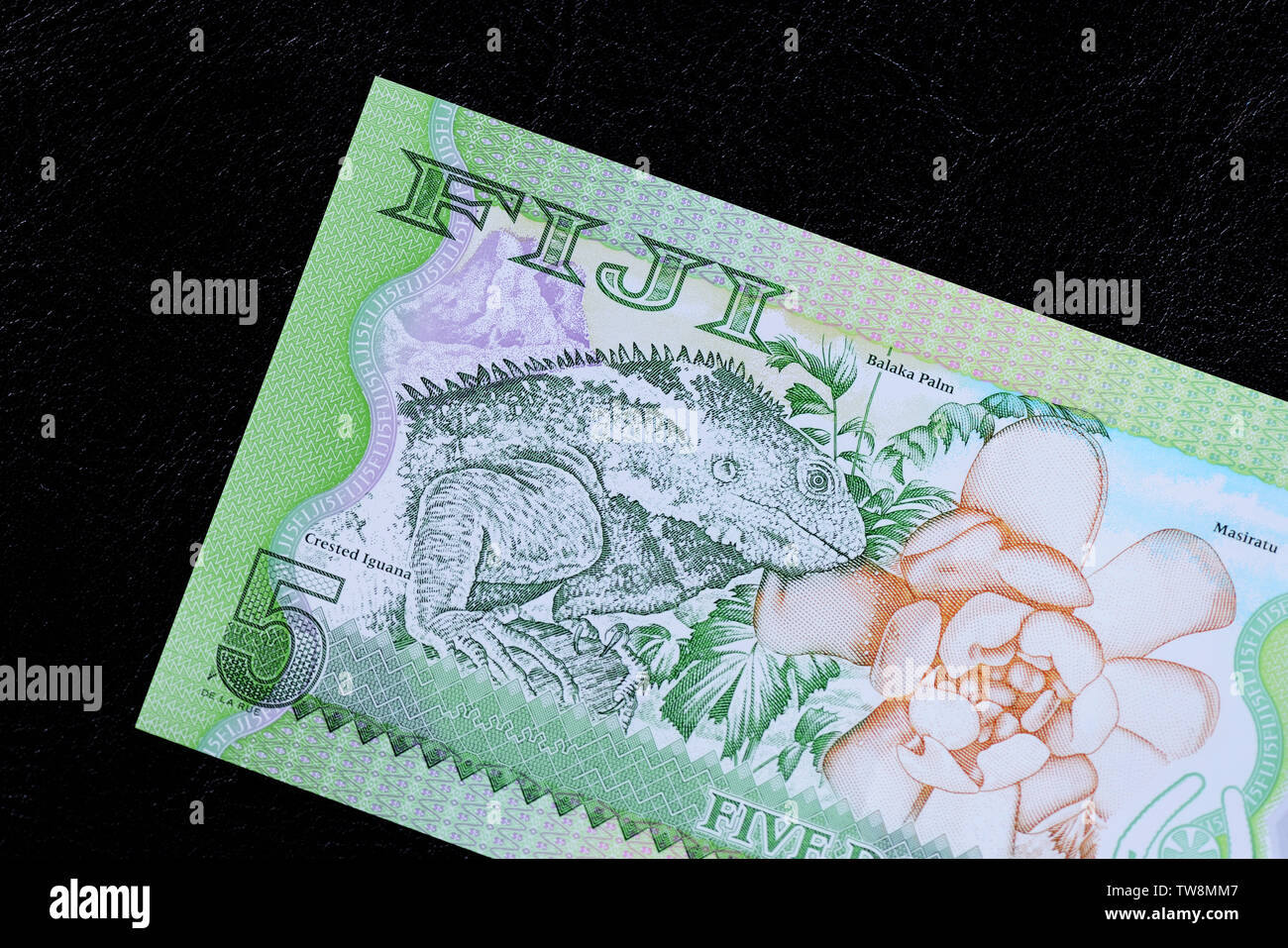 Fiji dollar currency green hi-res stock photography and images - Alamy