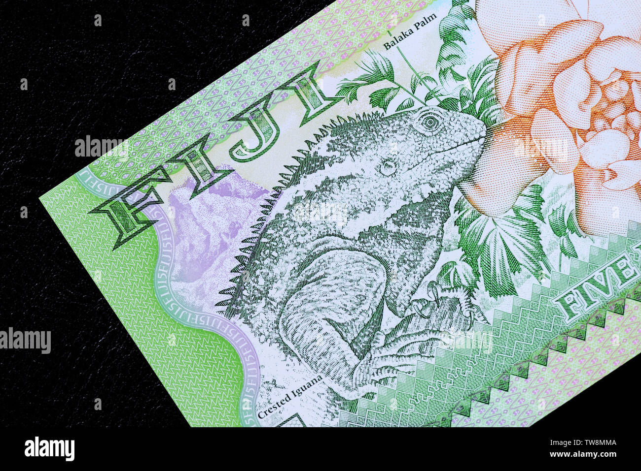 Fiji bank note hi-res stock photography and images - Alamy