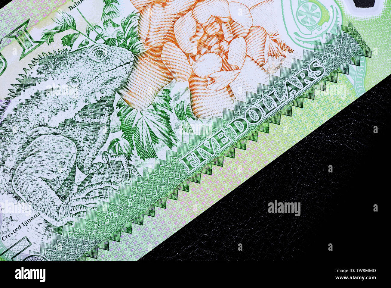 Fiji dollar currency green hi-res stock photography and images - Alamy