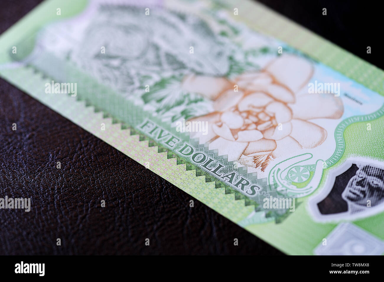 Fiji bank note hi-res stock photography and images - Alamy