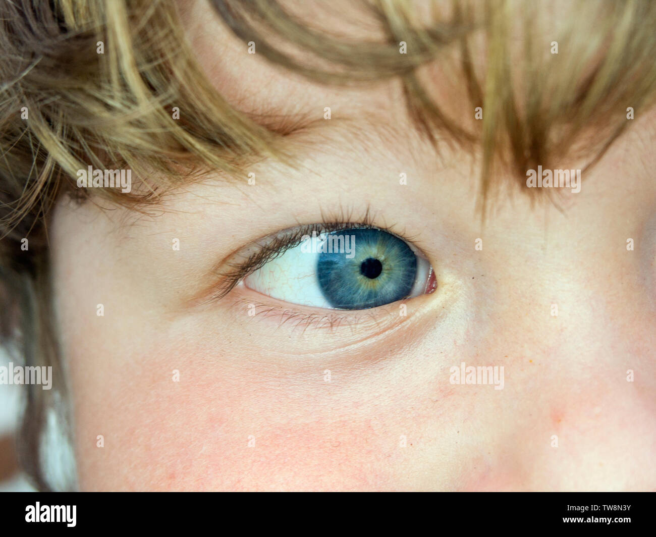 Human wide open blue eye hi-res stock photography and images - Alamy