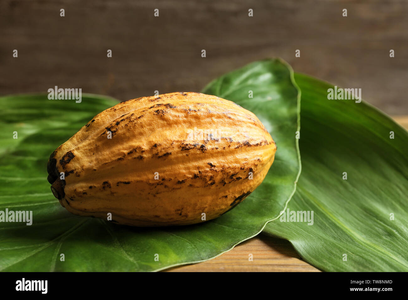 Ripe yellow cocoa pod on leaves, closeup Stock Photo - Alamy