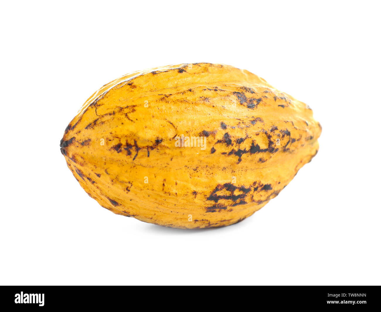 Ripe yellow cocoa pod on white background Stock Photo - Alamy