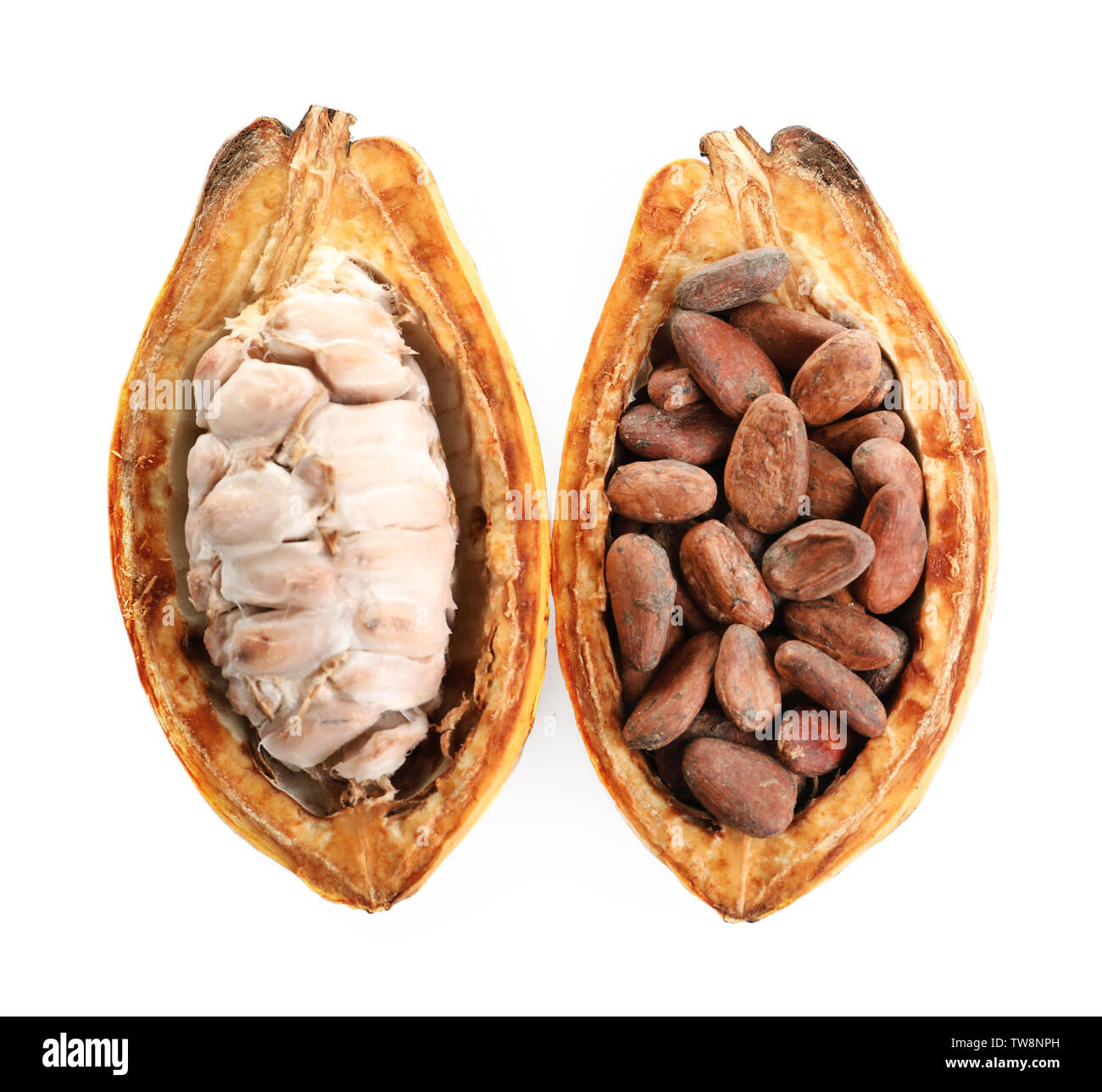 Cut cocoa pod with beans on white background Stock Photo - Alamy