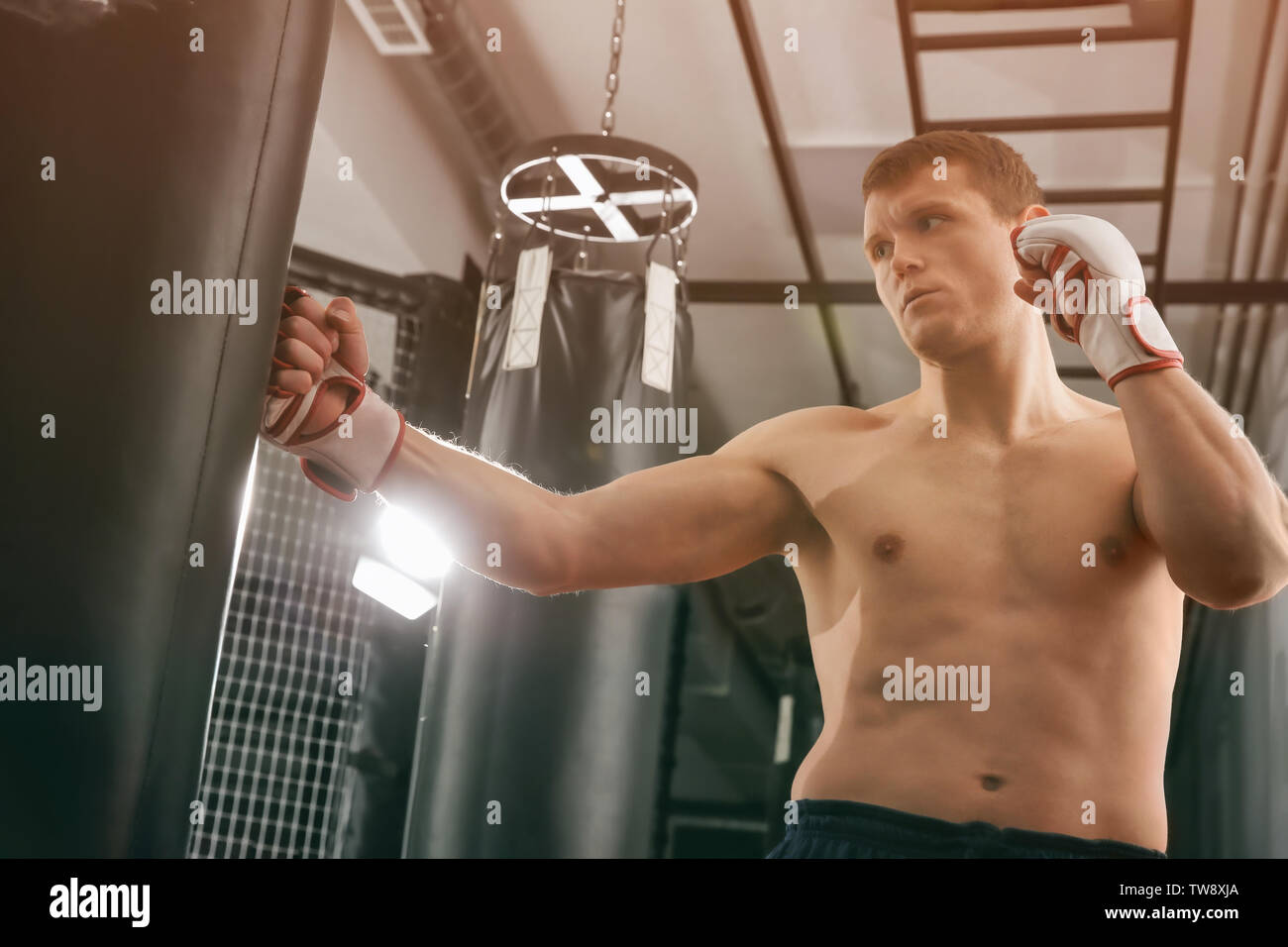 Male boxer training with punching bag in gym Stock Photo - Alamy