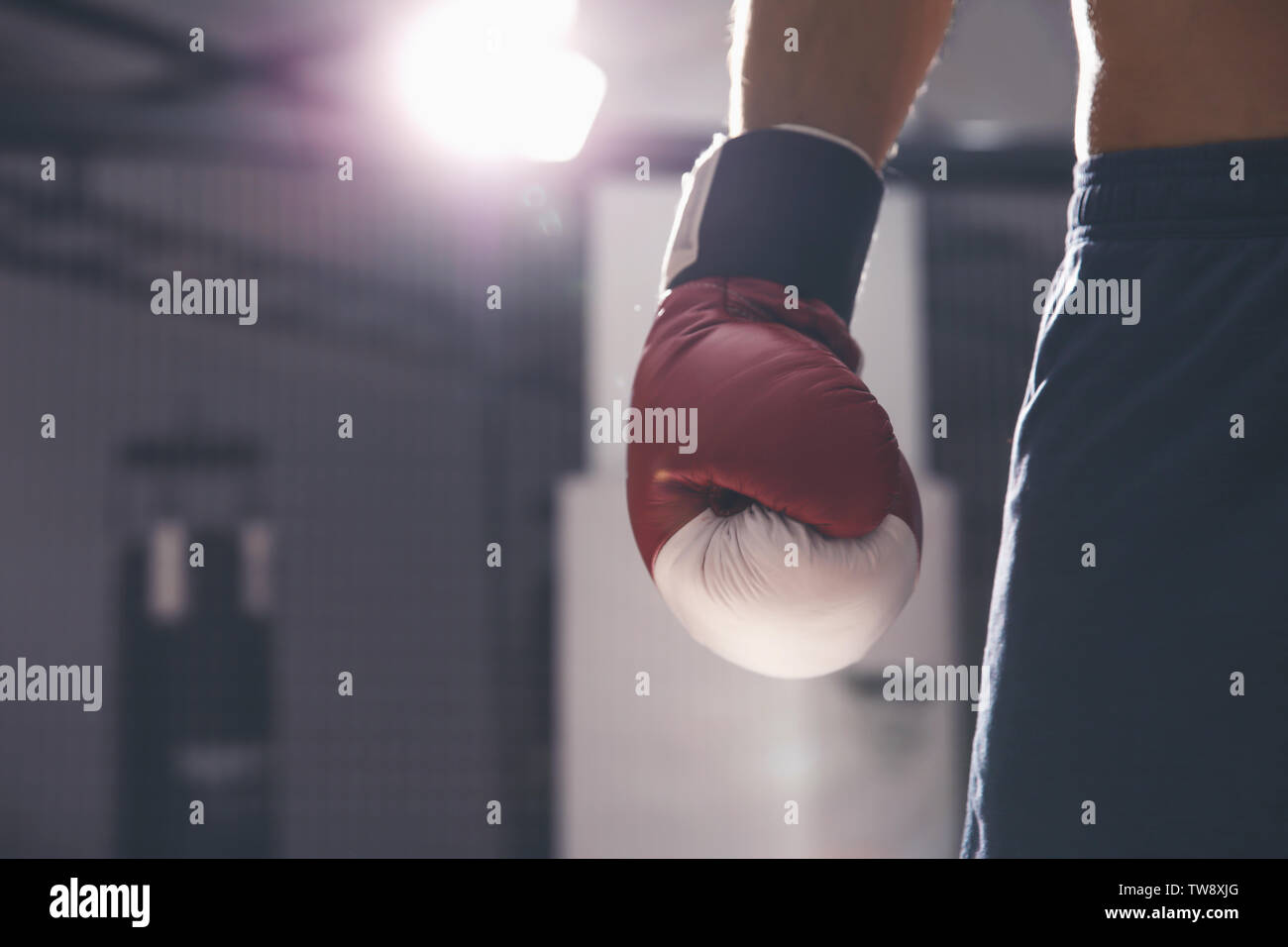 Strong male boxer in gym, closeup Stock Photo - Alamy