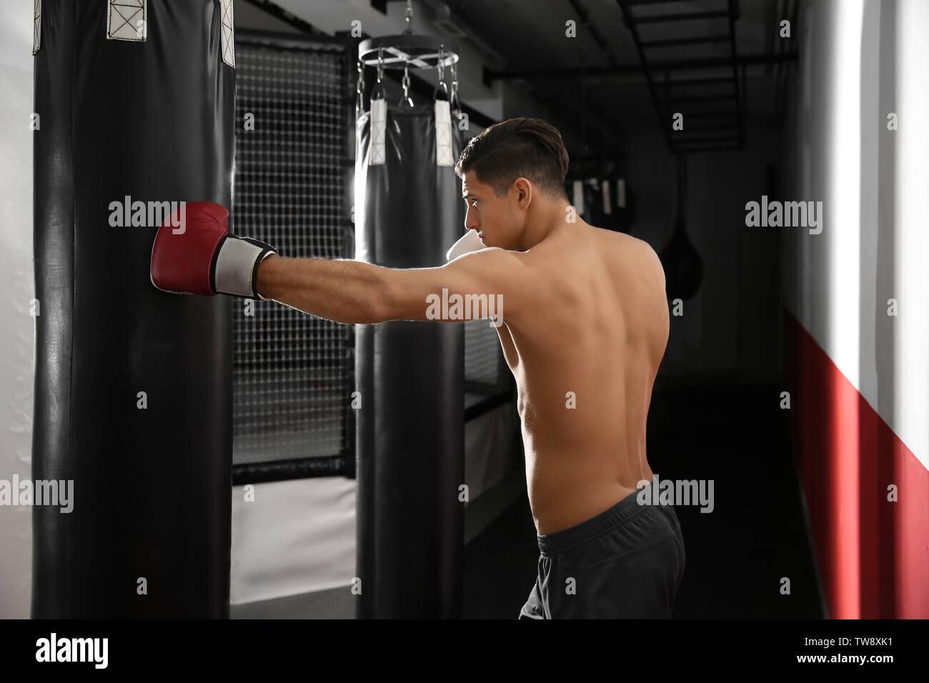 Male boxer training with punching bag in gym Stock Photo - Alamy