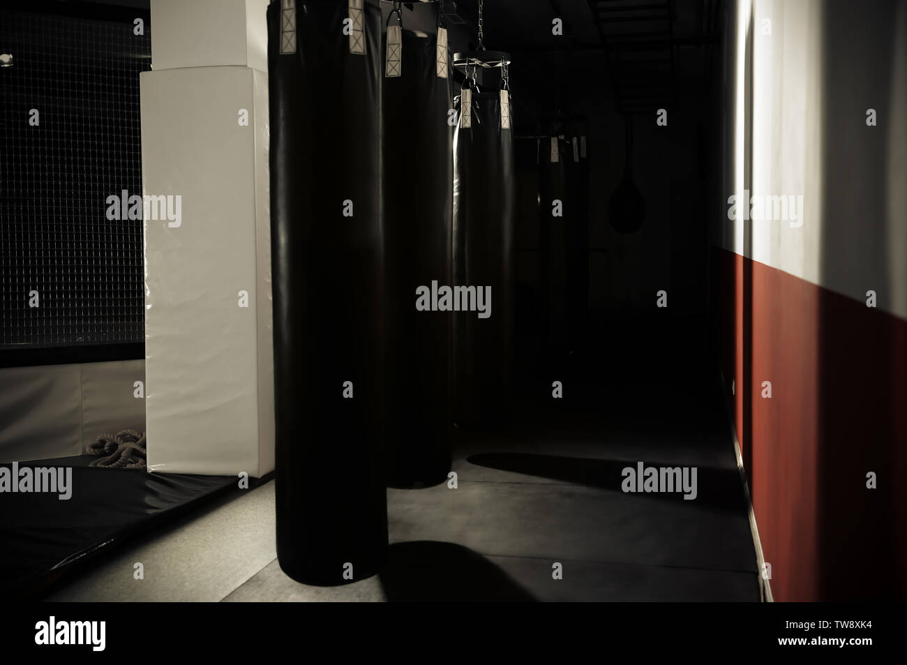 Interior of modern gym with punching bags Stock Photo - Alamy