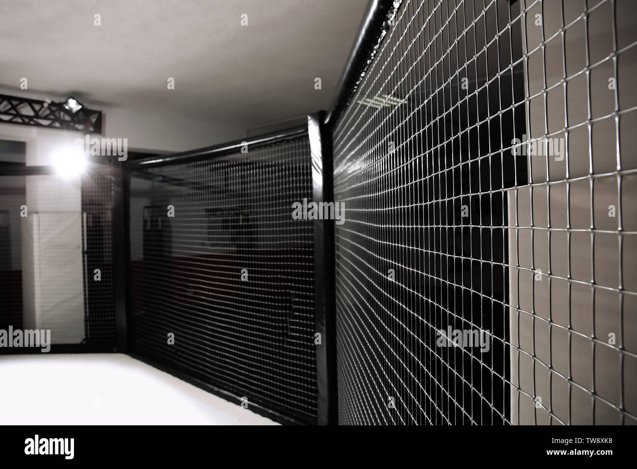 Empty ring for MMA in gym Stock Photo - Alamy