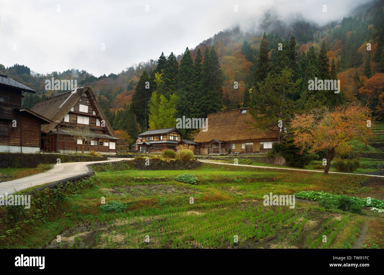 Maximimages hi-res stock photography and images - Alamy