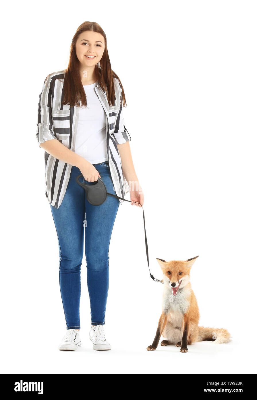 Friendly fox Cut Out Stock Images & Pictures - Alamy