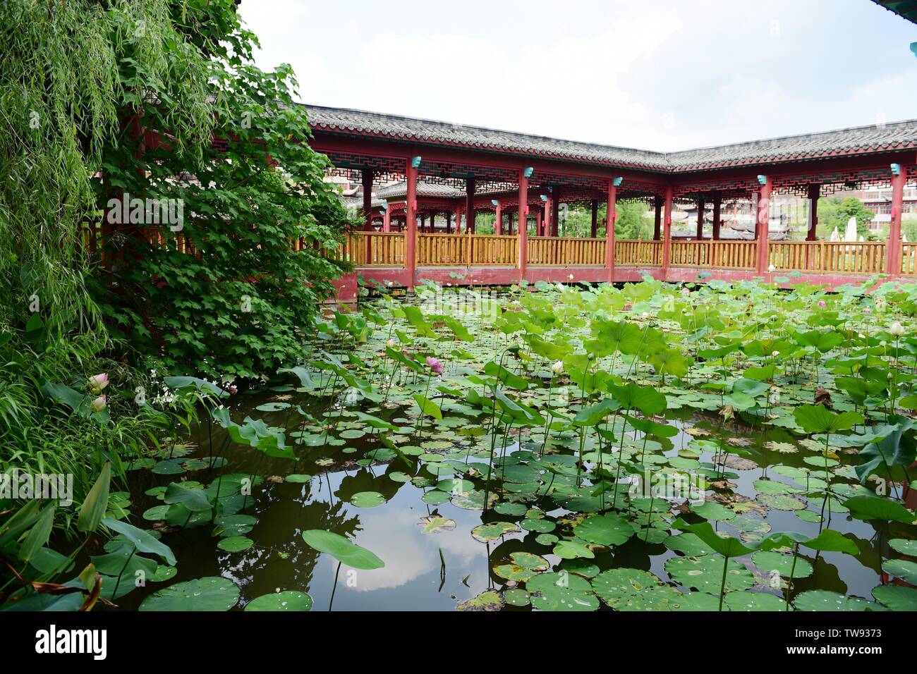 Antique architecture and lotus pavilion lotus Stock Photo - Alamy
