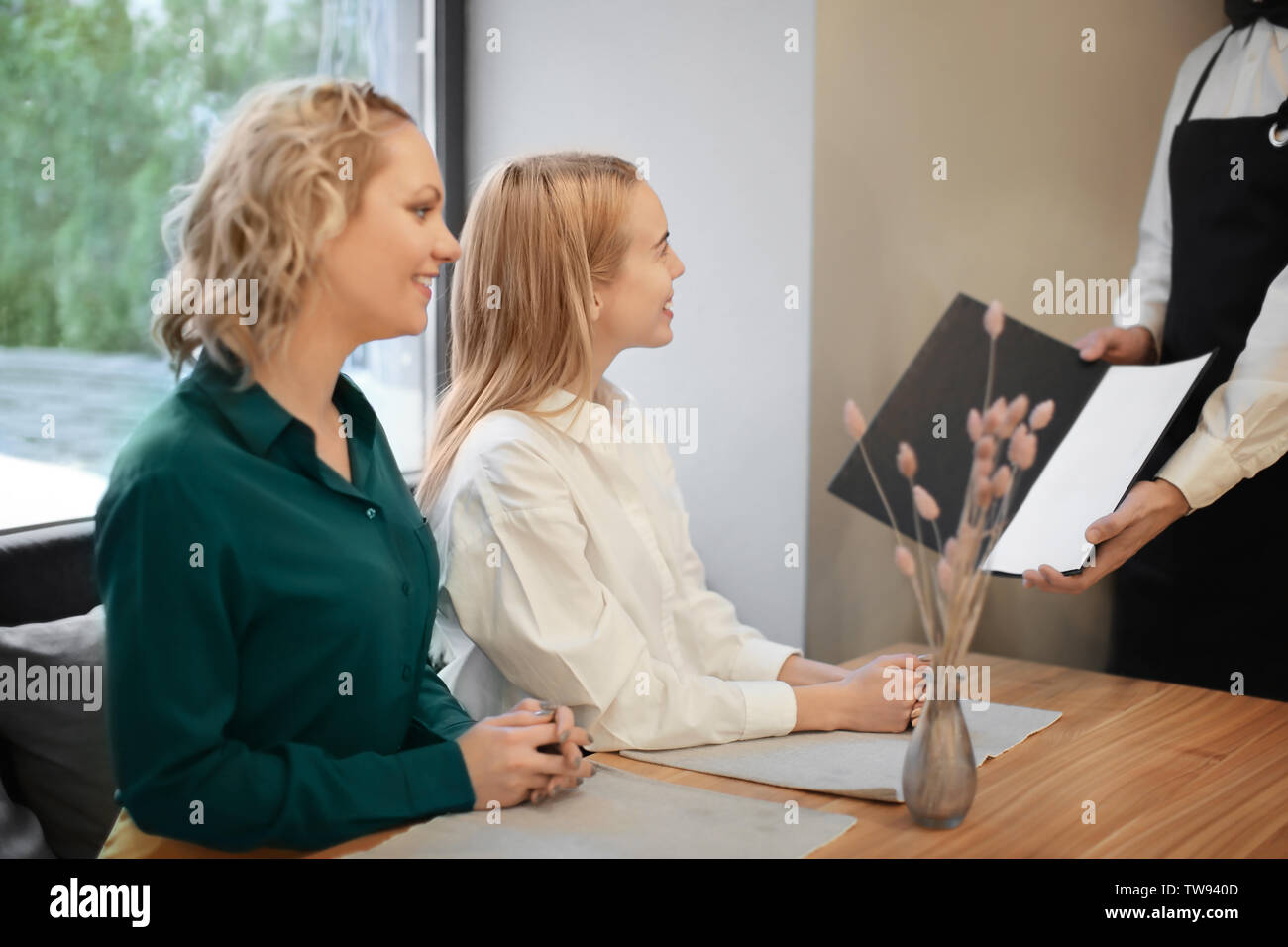 Waiter giving menu to customers in cafe Stock Photo - Alamy