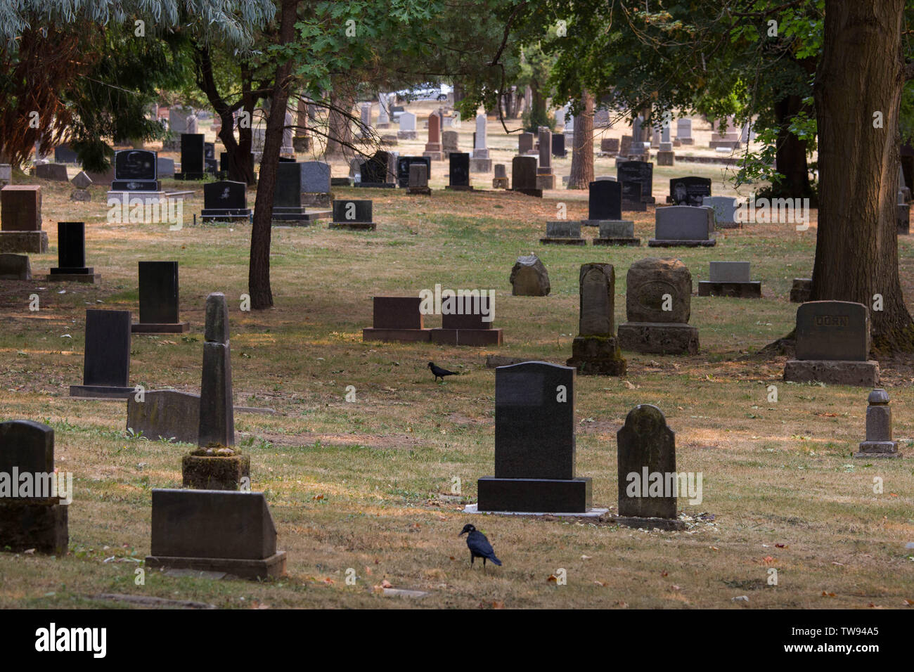 Portland cemetery, United States Stock Photo - Alamy