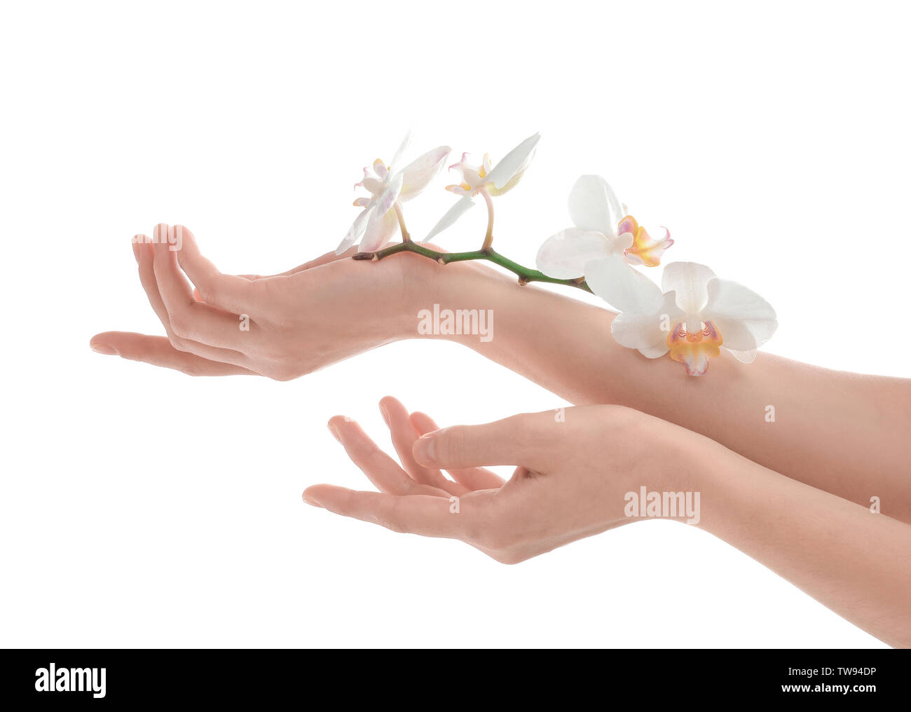 Young woman with soft skin after using of hand cream on white ...