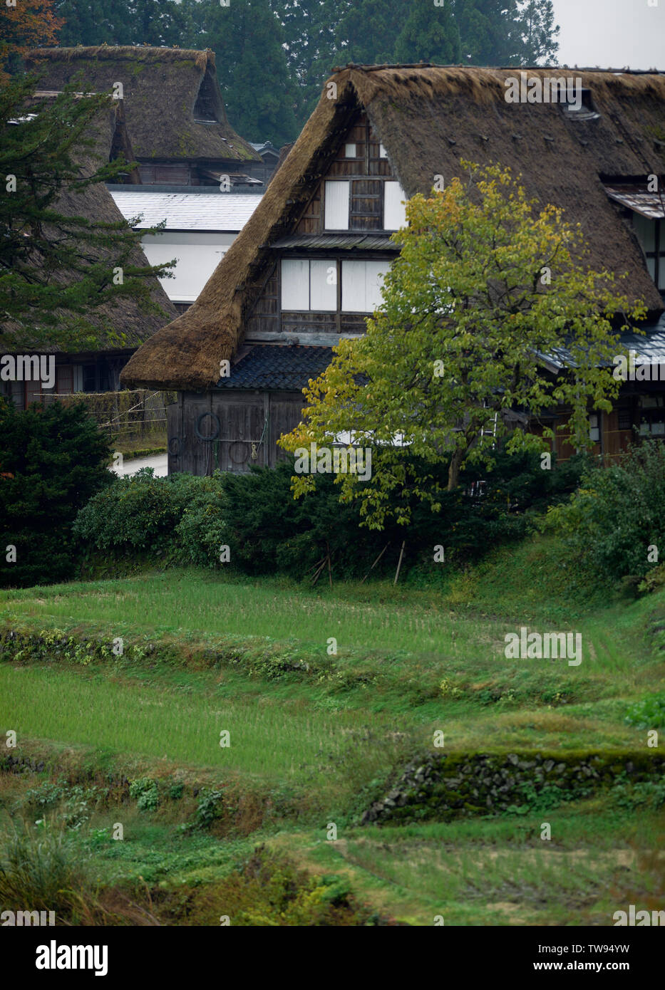 License and prints at MaximImages.com - Ainokura, Japanese village with ...