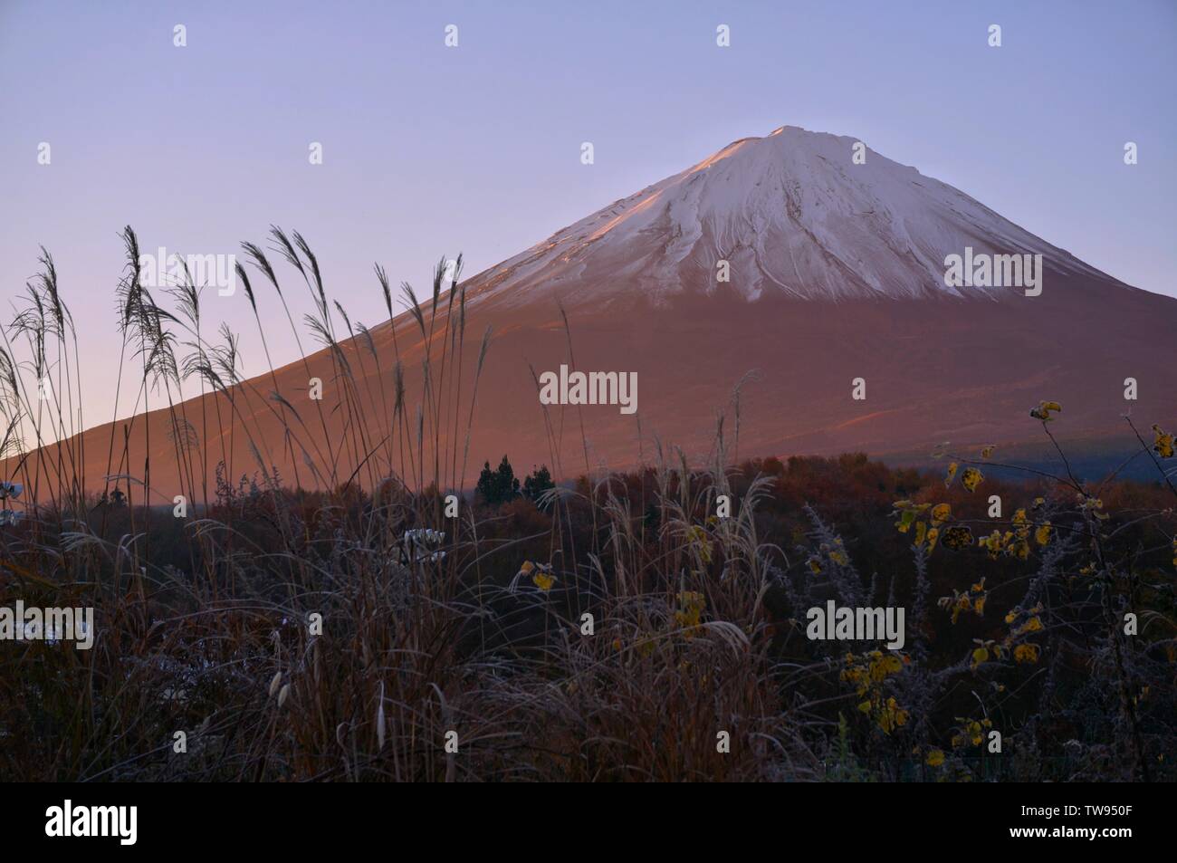Mount Fuji, Osaka, Tokyo, Japan Stock Photo - Alamy