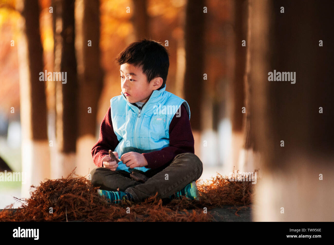 Photography of children Stock Photo - Alamy