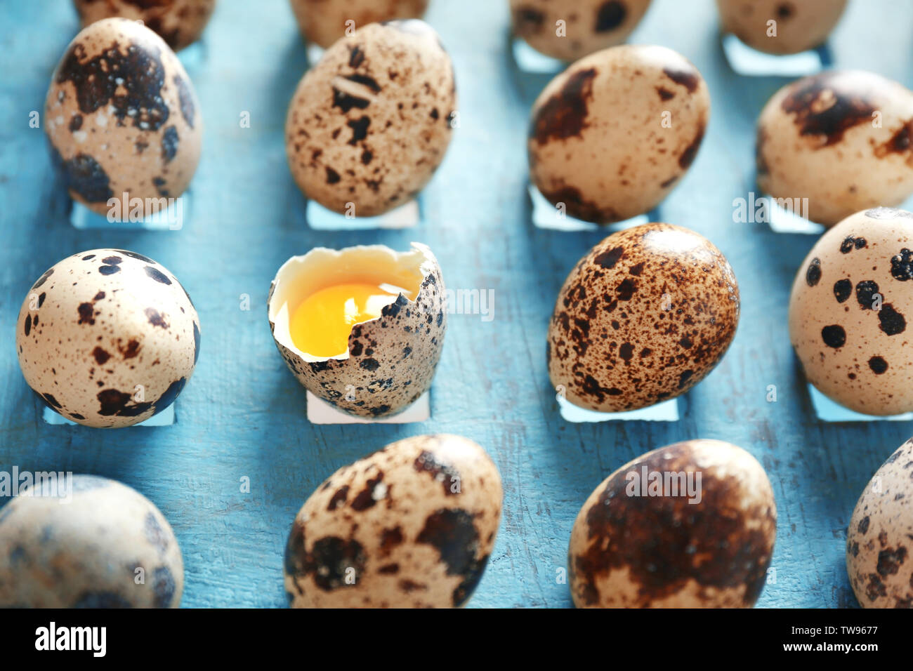 Quail eggs on wooden stand Stock Photo - Alamy