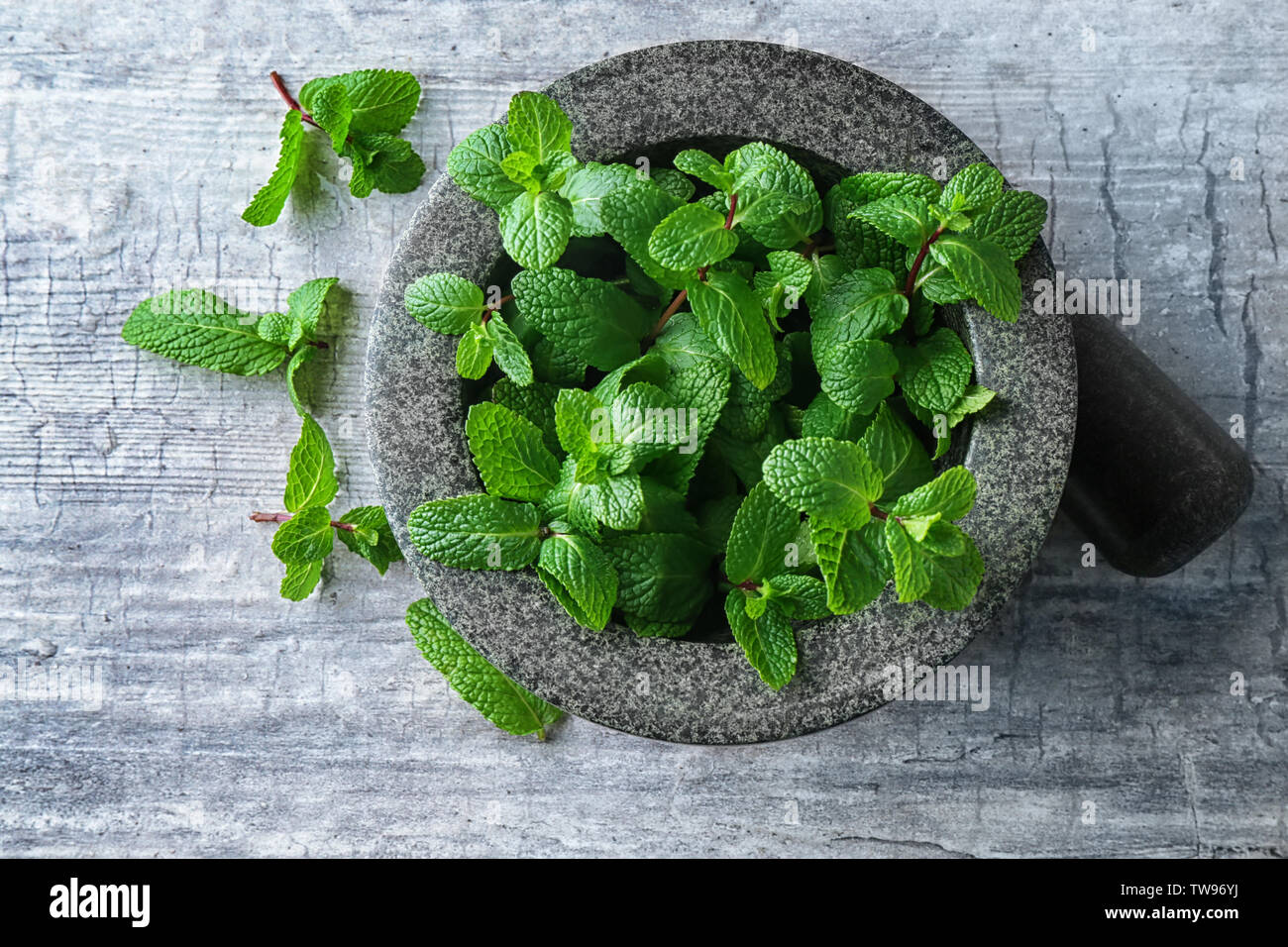 Mortar with fresh lemon balm on grey background Stock Photo - Alamy