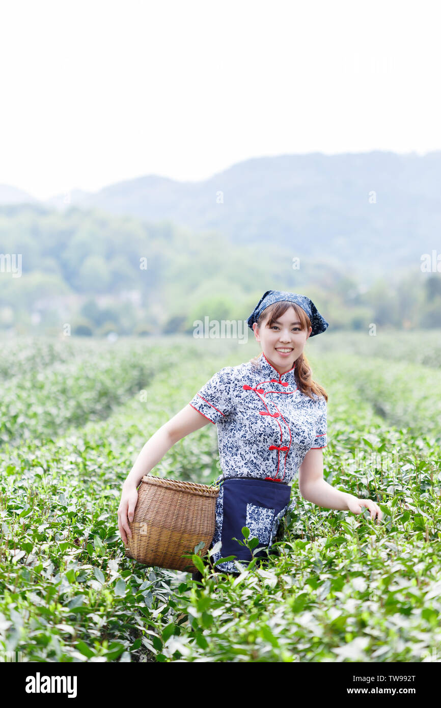 Asian pretty tea - amazing girl in photography Stock Photo - Alamy