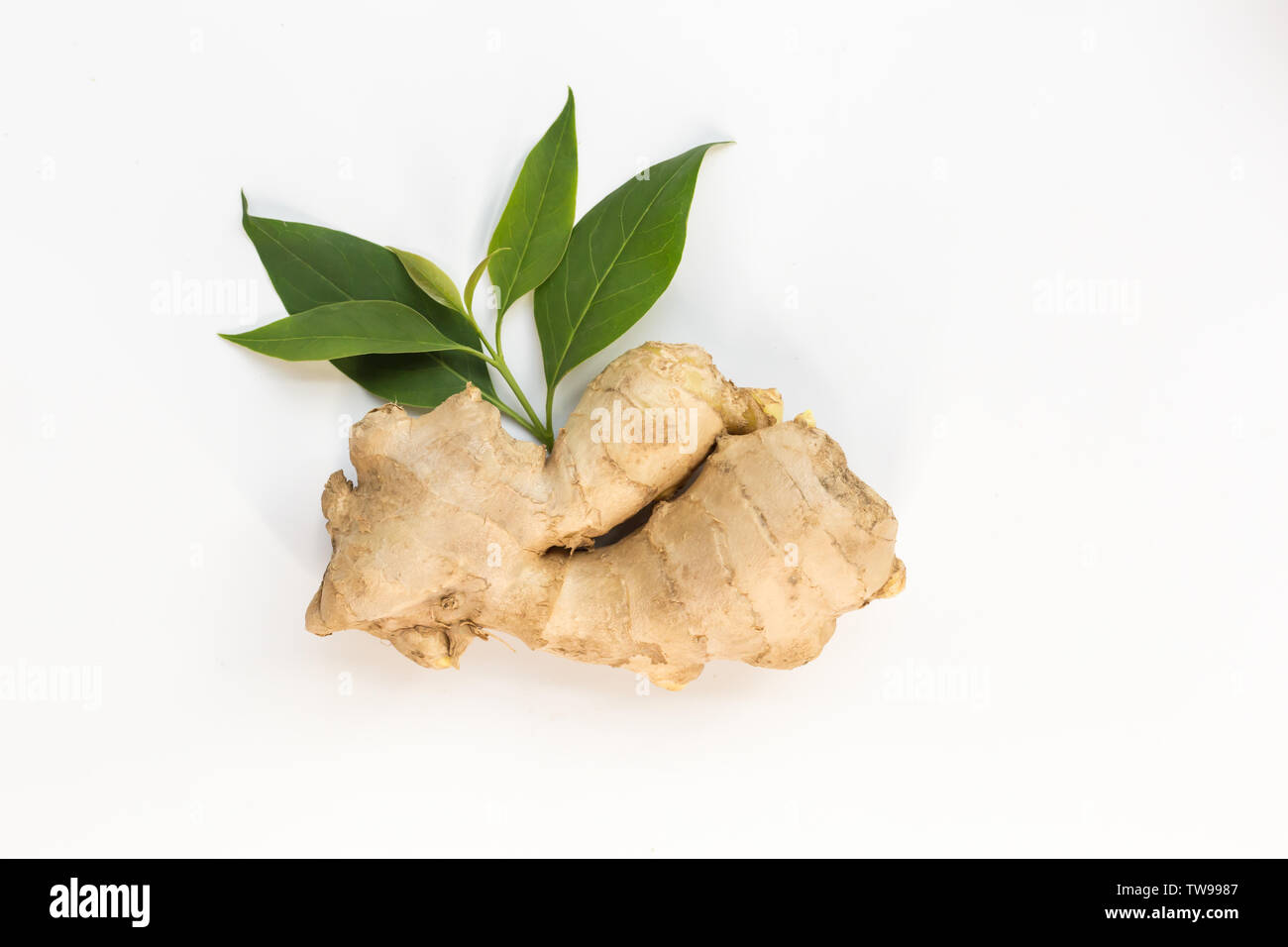 Ginger and cut ginger slices on white background Stock Photo - Alamy