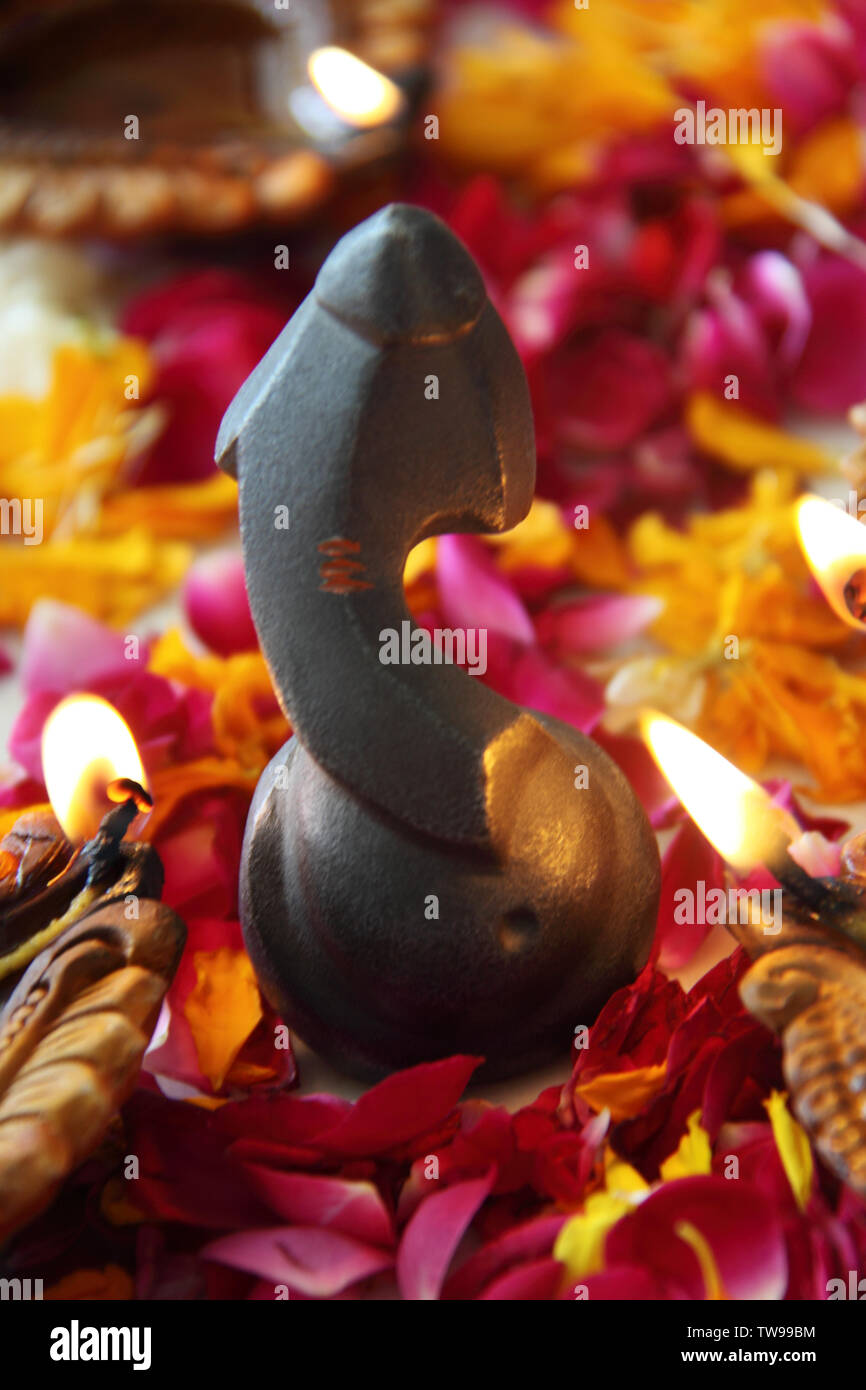 Statue of Lord Ganesha with diwali diyas Stock Photo - Alamy