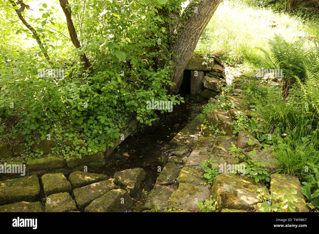 Wasserquelle im Klostergarten von Kloster Kirchberg im Schwarzwald ...