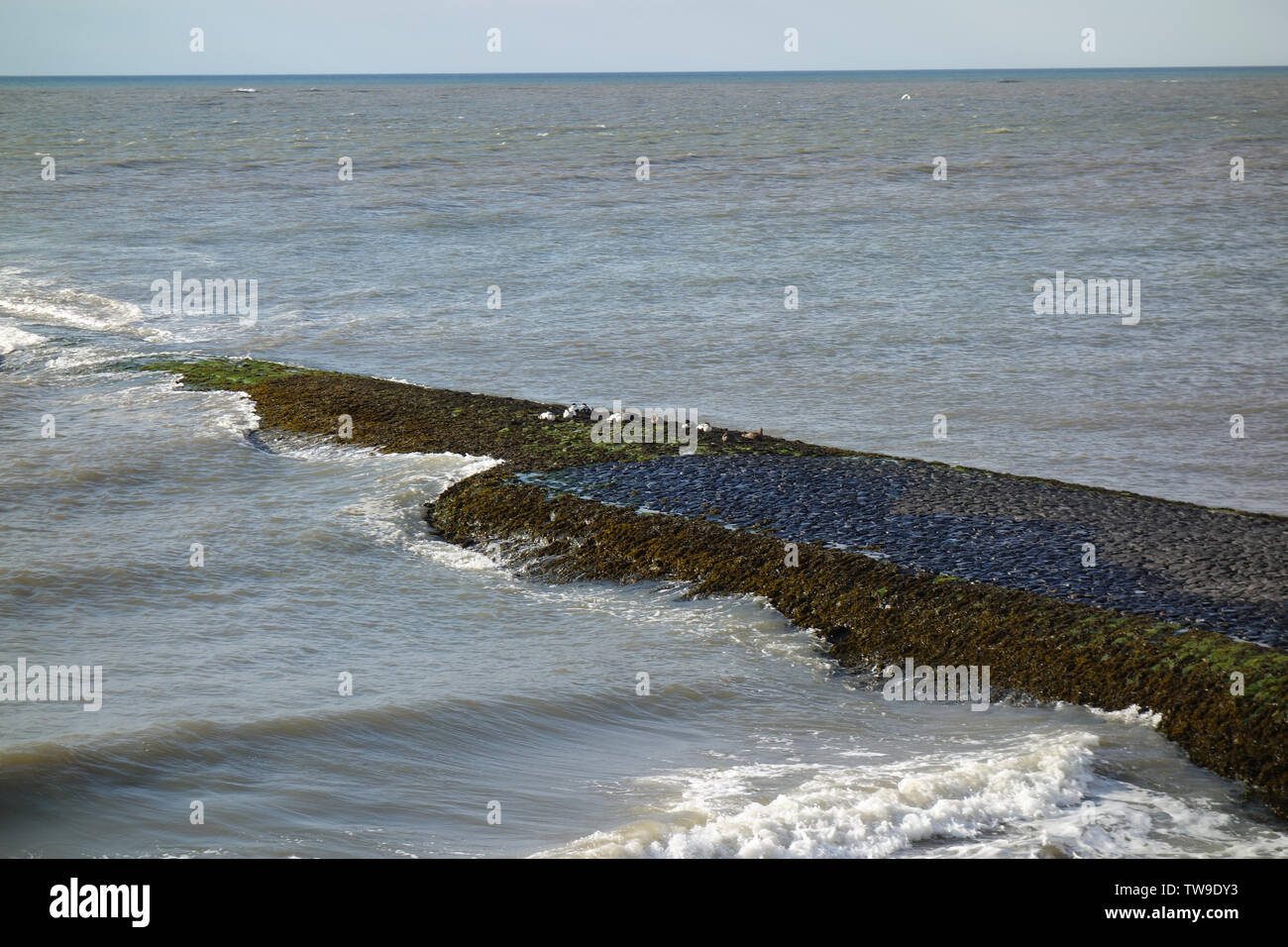 the beach of baltrum Stock Photo - Alamy