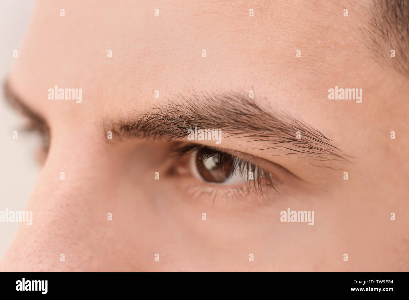 Trendy eyebrows hi-res stock photography and images - Alamy