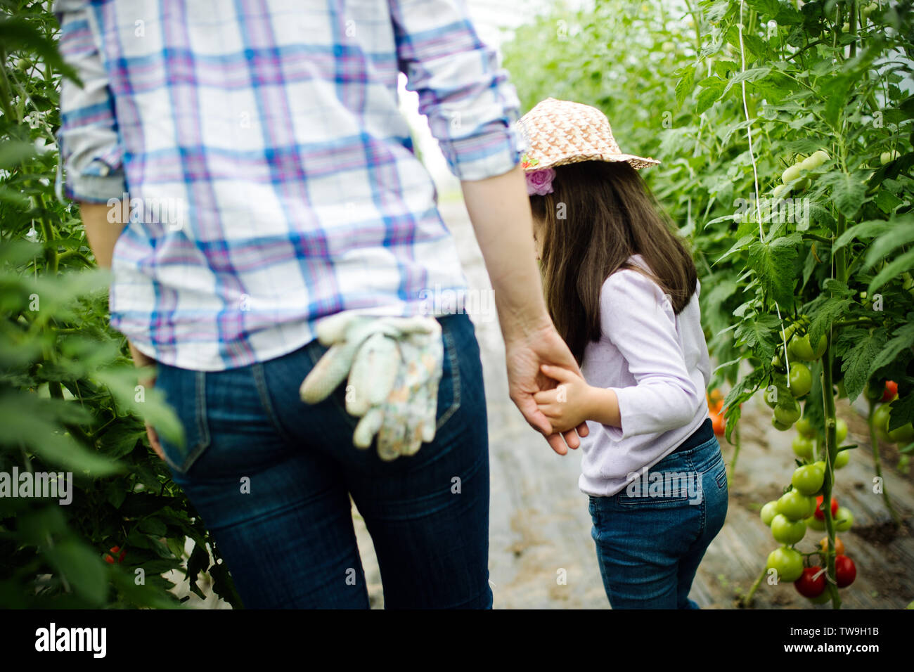 Mother and daughter working in the farm Stock Photo - Alamy