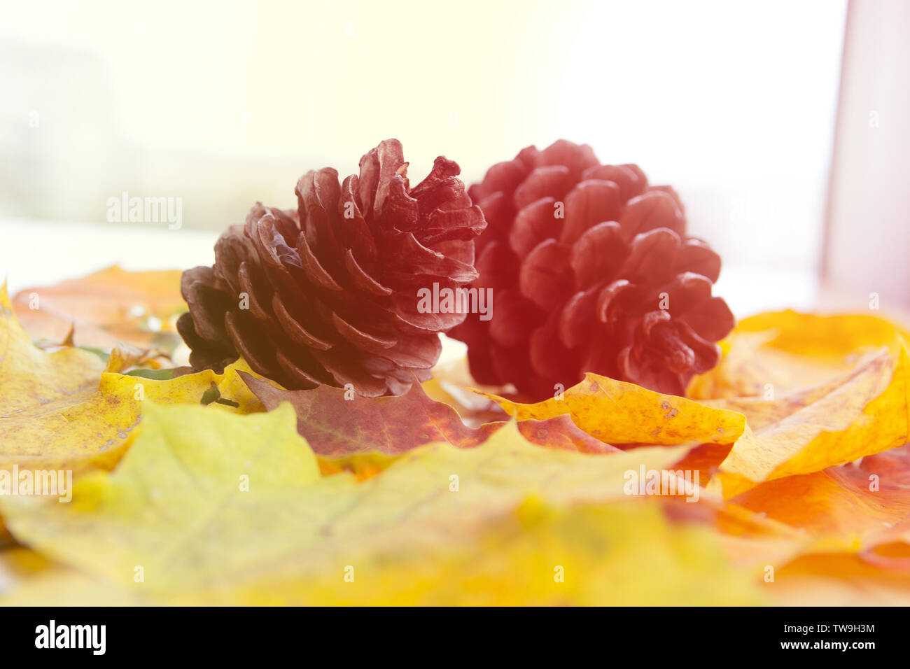 Bumps on leaves hi-res stock photography and images - Alamy