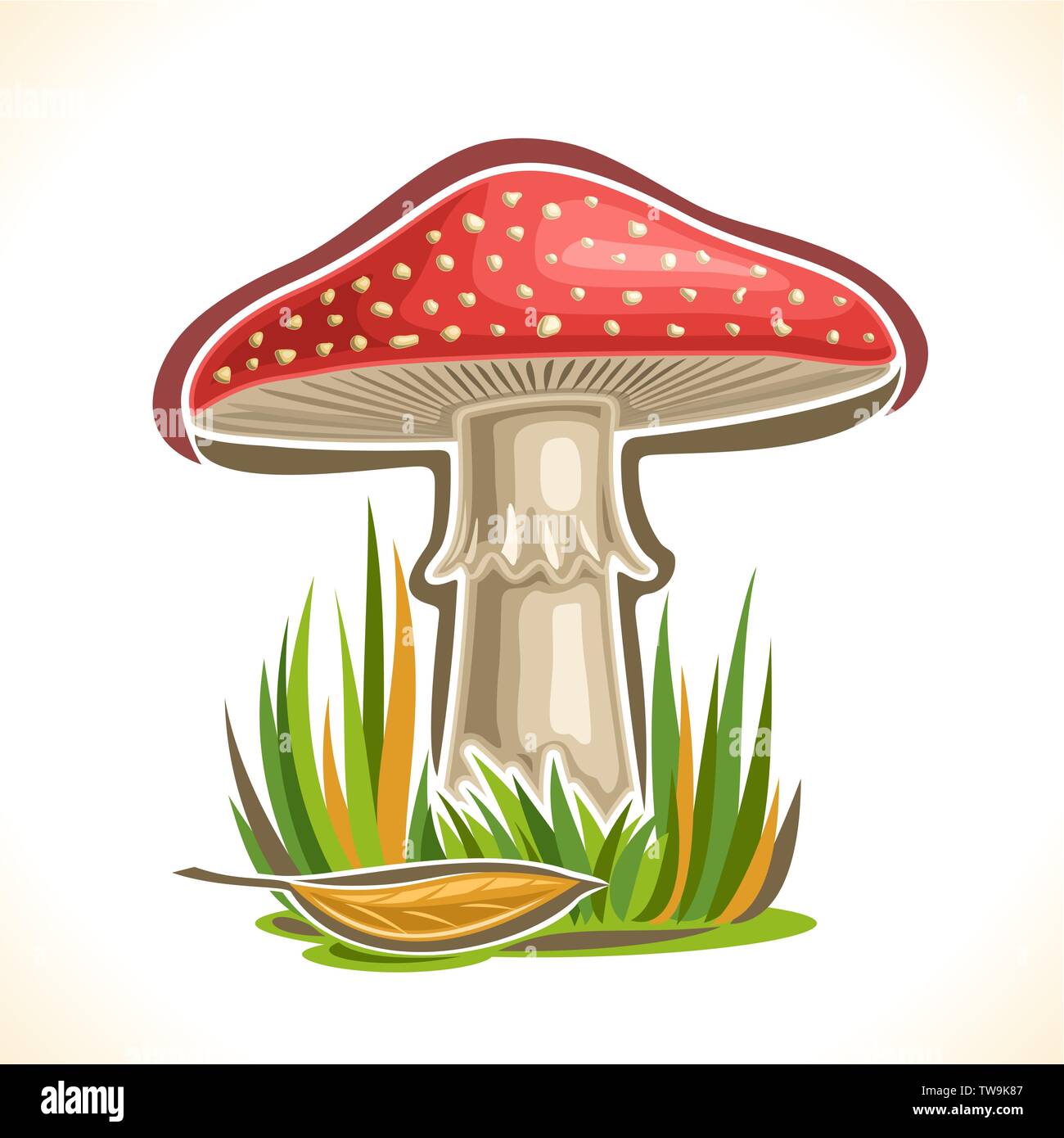Red toxic fly agaric Stock Vector Images - Alamy