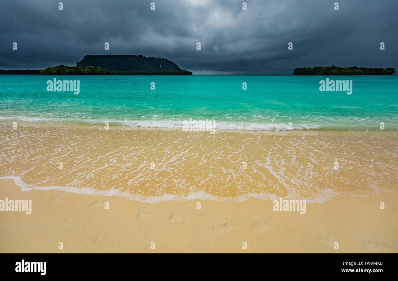 Amazing Port Orly sandy beach with palm trees, Espiritu Santo Island ...