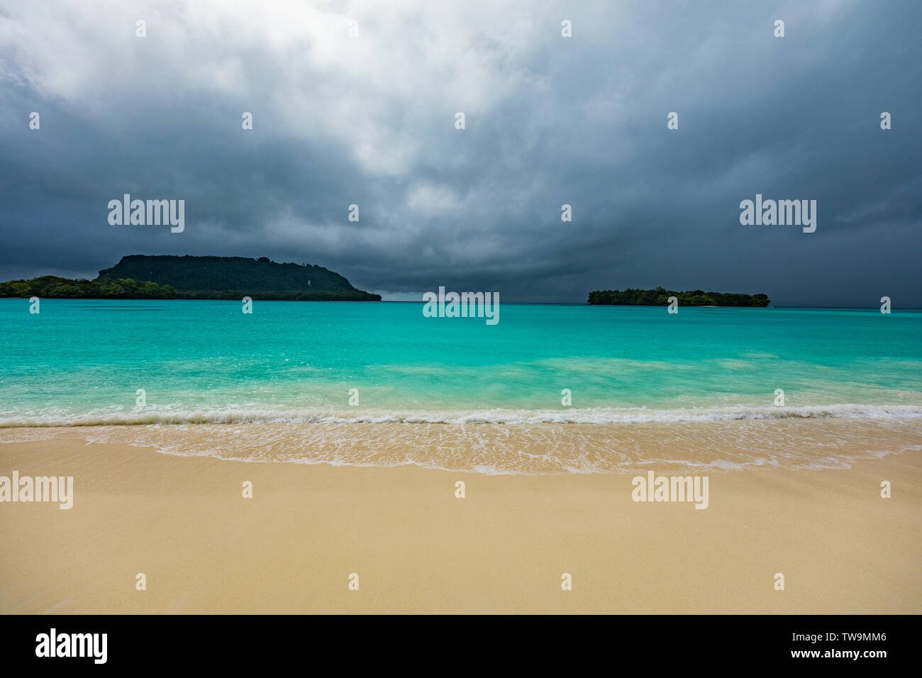 Amazing Port Orly sandy beach with palm trees, Espiritu Santo Island ...