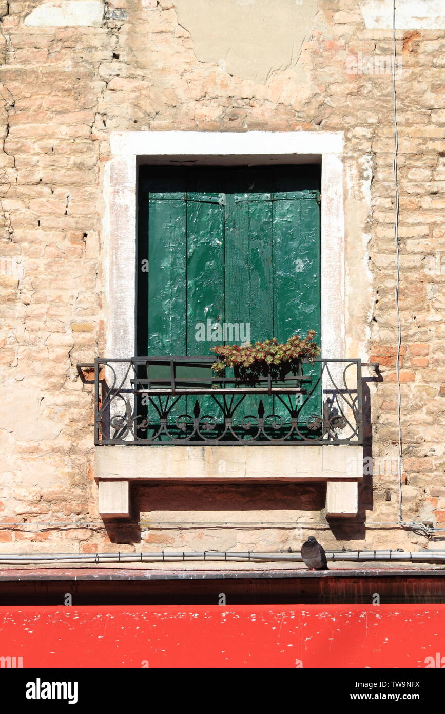 Typical renaissance window in Venice, Italy Stock Photo - Alamy