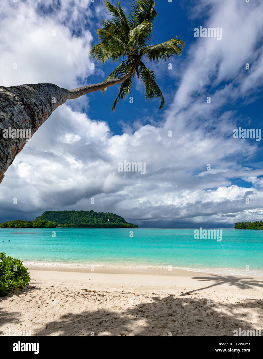 Amazing Port Orly sandy beach with palm trees, Espiritu Santo Island ...